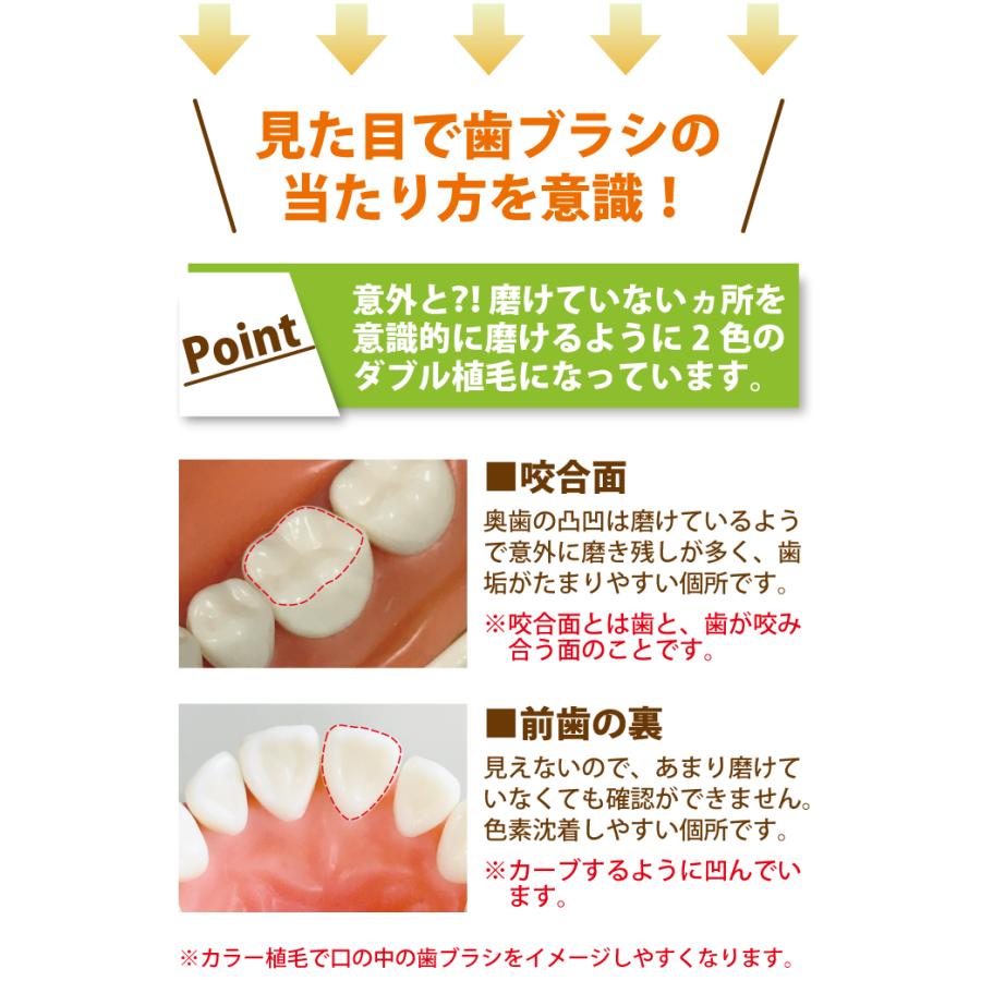 Ciメディカル 歯ブラシ Ci PRO PLUS (プロプラス) Sやわらかめ 50本入り : 歯科医院専売品のデンタルフィット - 通販 ...