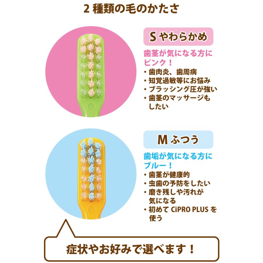 Ciメディカル 歯ブラシ Ci PRO PLUS (プロプラス) Sやわらかめ 50本入り : 歯科医院専売品のデンタルフィット - 通販 ...