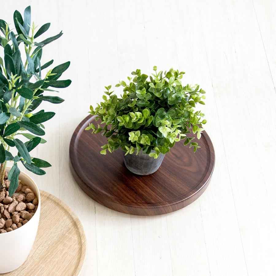 メーカー直送 宮武製作所 Treno(トレーノ) MST-300-BR プランタースタンド キャスター付き植木鉢台 幅30cm ブラウン : mst-300-br : 生活家電ディープライス ...