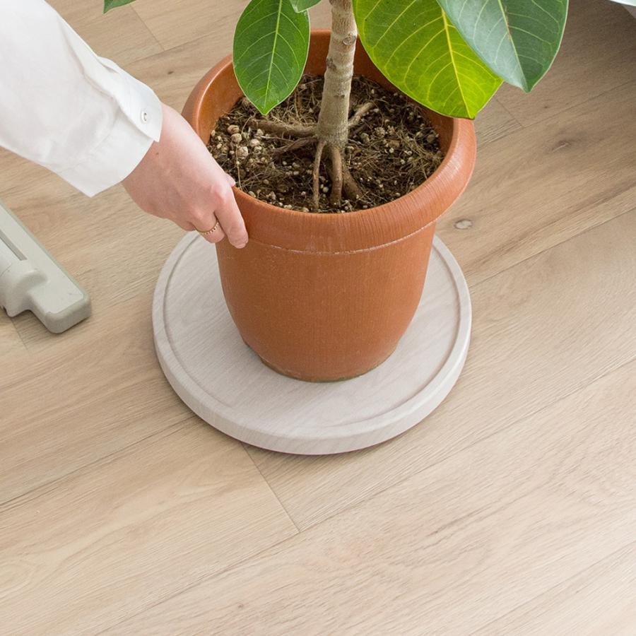 宮武製作所 メーカー直送 プランタースタンド キャスター付き植木鉢台 幅30cm Treno(トレーノ) ホワイト MST-300-WH : 生活家電ディープライス - 通販 - Yahoo ...