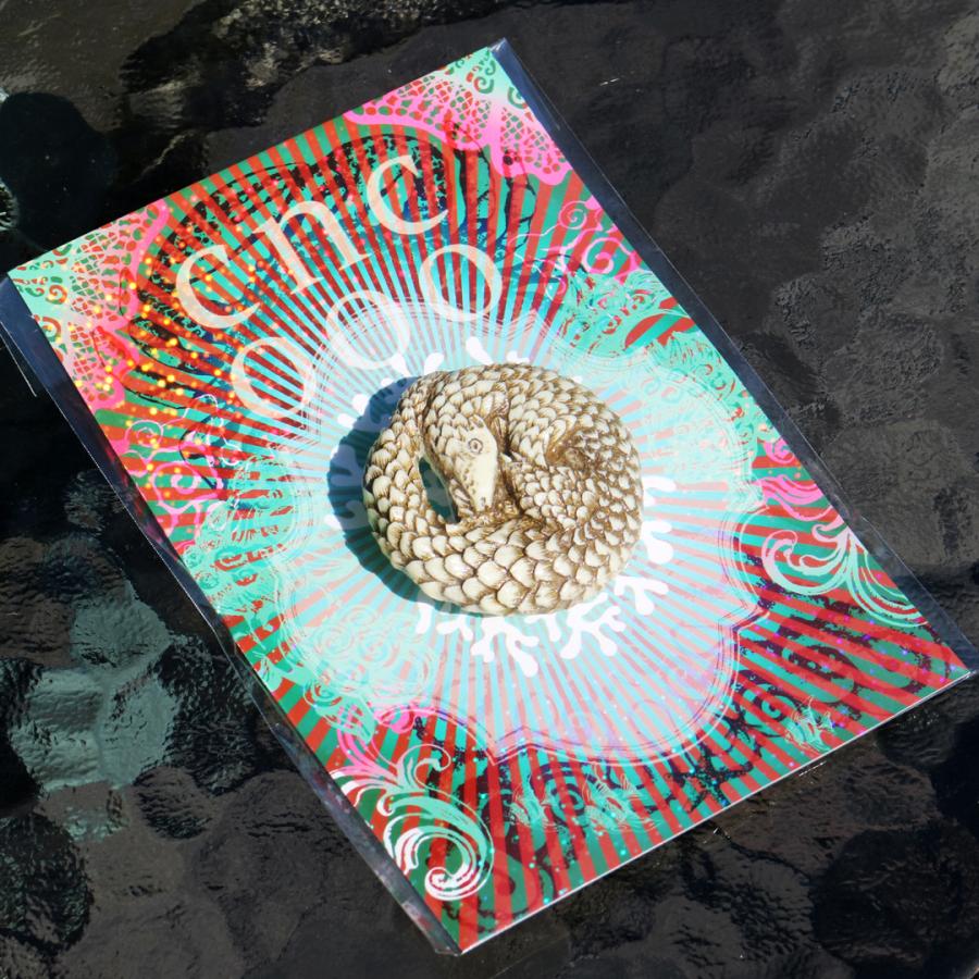 センザンコウ ブローチ BR053 conoco : 代官山 蔦屋書店 ヤフー店 - 通販 - Yahoo!ショッピング