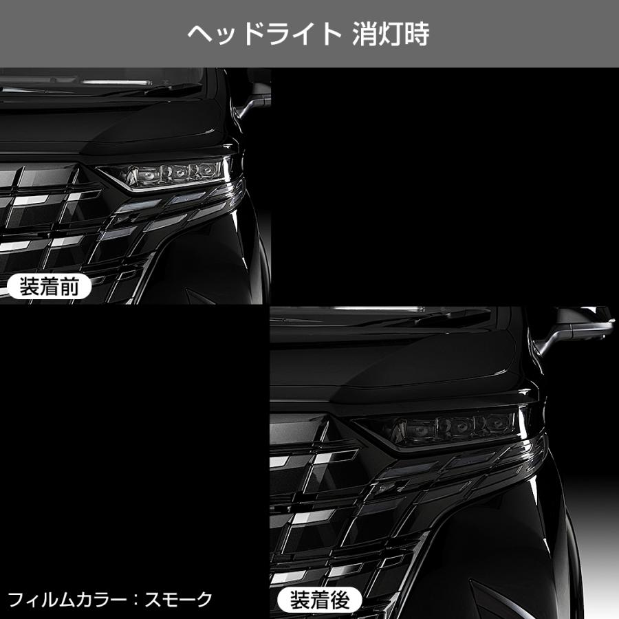 D.A.D E52系 エルグランド (ELGRAND) レンズプロテクションフィルム クリア/スモーク/UVスモーク AI037 車種専用設計 車 DAD ギャルソン GARSON ...