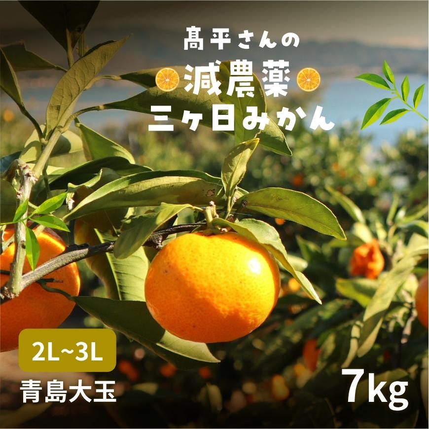 【青島大玉2L〜3L】 高平さんの減農薬 三ヶ日みかん 7kg : takahira-aoshima4 : 浜名湖産直マーケット - 通販 - Yahoo!ショッピング