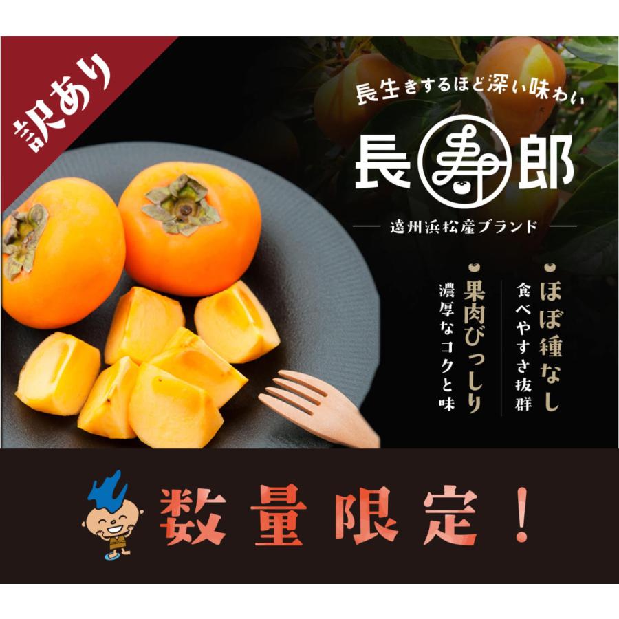 【遠州浜北大平産】 訳あり長寿郎次郎柿【訳あり品M〜2L・10〜14玉（約2.5kg）】 : 浜名湖産直マーケット - 通販 - Yahoo!ショッピング