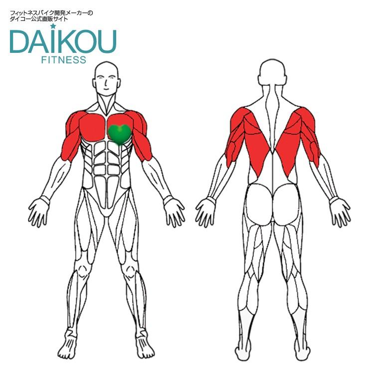 クレスコスタンディングレッグ・ライズ DK-1206 DAIKOU（ダイコウ）大広 （代引不可） | legendphysiosurrey.com