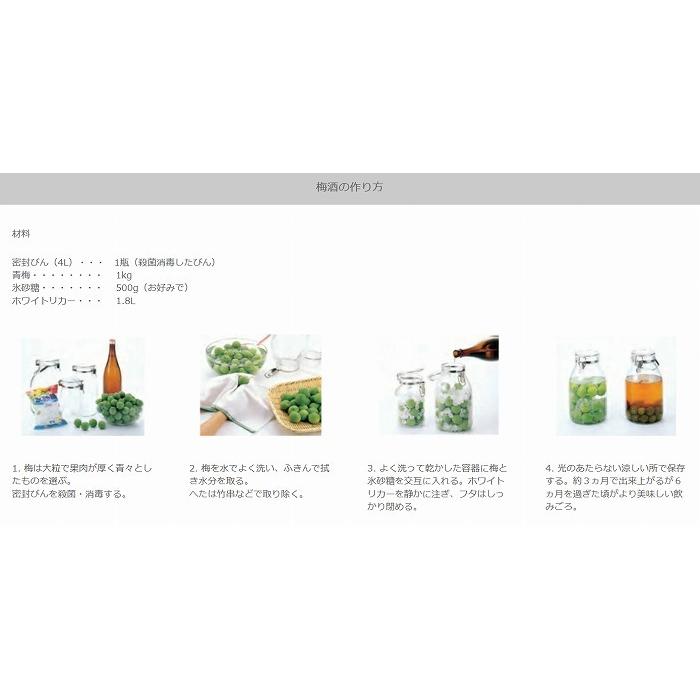 セラーメイト 取手付き密封びん 4L 4000ml Cellarmate 密封容器 密閉瓶 梅酒 瓶 梅シロップ 梅酒瓶 果実酒 保存瓶 取手付き 星硝 :4974452220339:デイリー ...