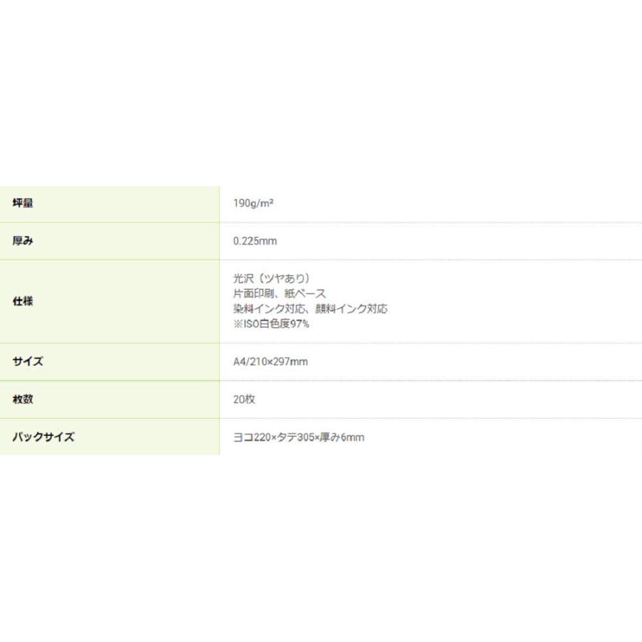 ナカバヤシ 写真用紙 高級光沢紙 光沢 厚手 A4判 20枚 JPPG-A4-20 : DaliyStore - 通販 - Yahoo!ショッピング