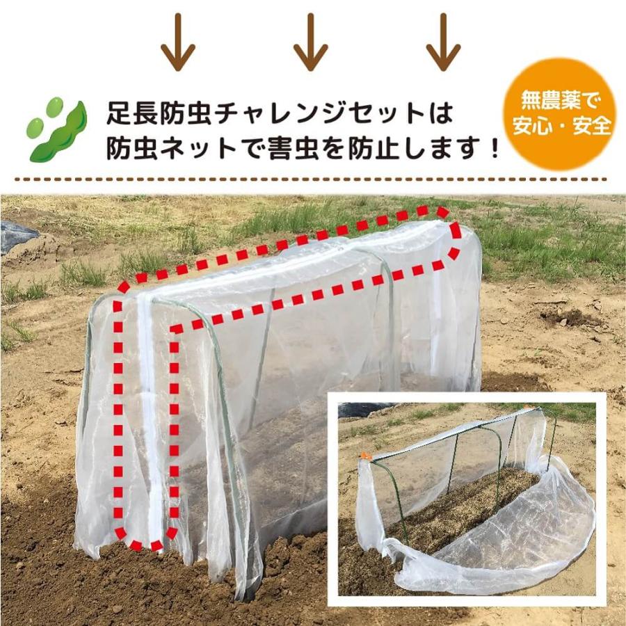 daim 枝豆栽培用 めざせ無農薬 足長防虫チャレンジセット 肩幅40cm 奥行き180cm 高さ60cm 家庭菜園 畑 栽培 防虫 虫よけ 虫除け ネット トンネル 無農薬 枝豆 ...