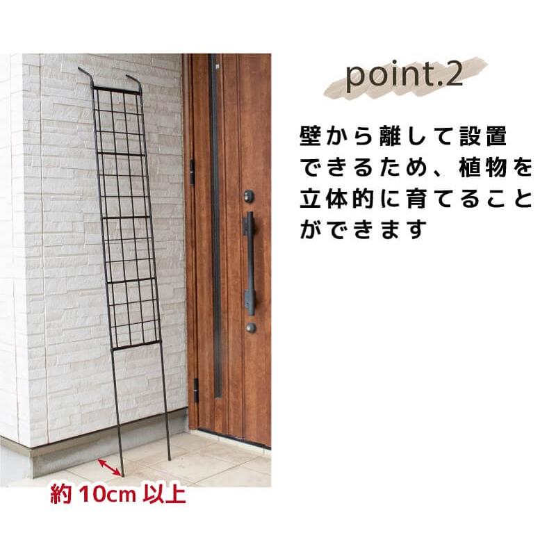 daim 組み立てかんたん立掛けトレリス 2セット入り 幅30cm×高さ180cm diy 薔薇 トレリス バラ 立て掛け クレチマス 誘引 つる性 ばら プランター 送料無料 :47510 ...