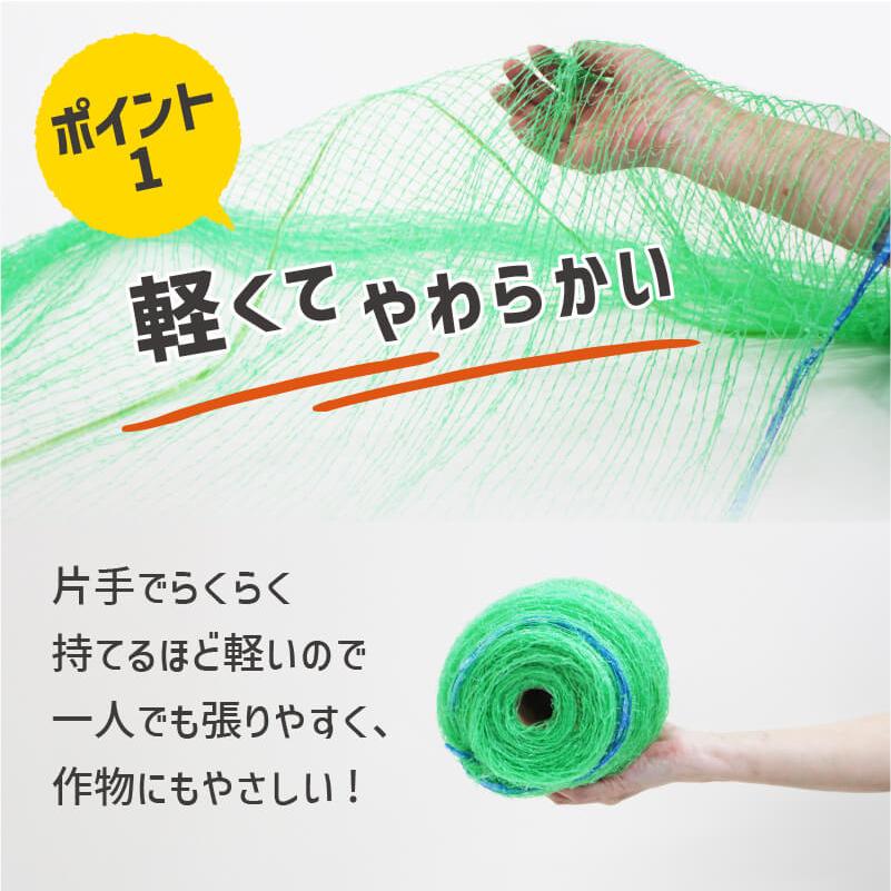 daim 防鳥ネット 幅2m 長さ20m巻 鳥よけ 防鳥 鳥除け ネット : 48545 : ダイムファクトリー Yahoo!店 - 通販 - Yahoo!ショッピング