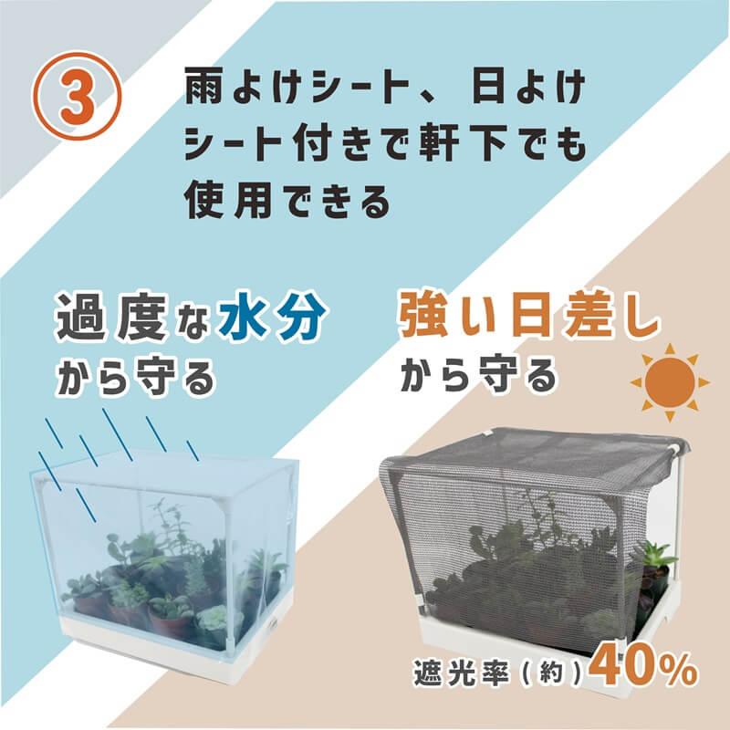 【カーメン君×daim コラボ】daim 多肉マンション 幅35cm×奥行き27cm×高さ28cm 全2色 オフホワイト アイスグレー 多肉植物 寄せ植え 棚 苗 簡易 温室 ...