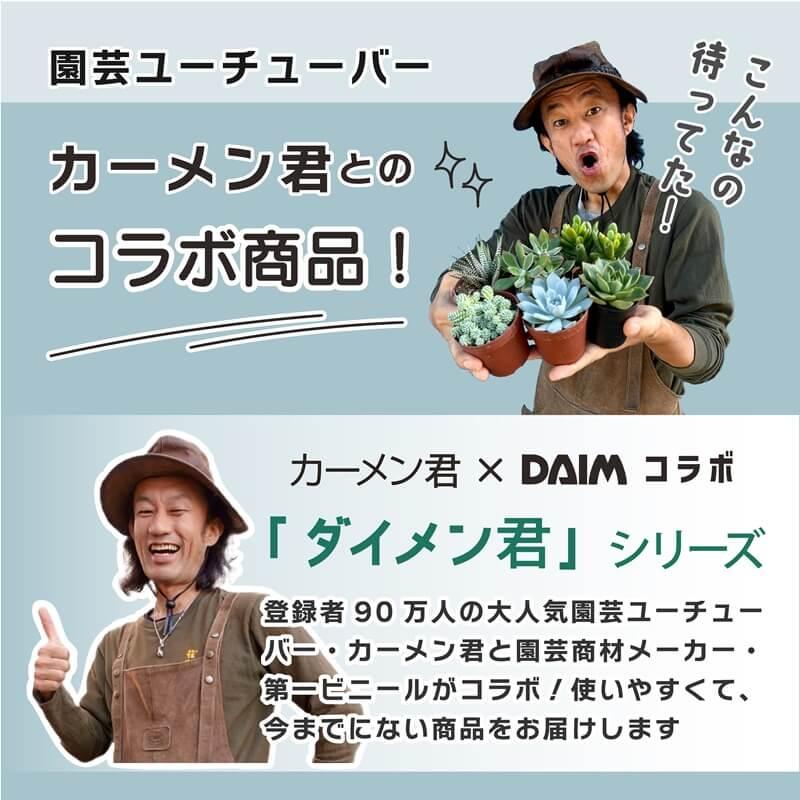 【カーメン君×daim コラボ】daim 多肉マンション 幅35cm×奥行き27cm×高さ28cm 全2色 オフホワイト アイスグレー 多肉植物 寄せ植え 棚 苗 簡易 温室 ...