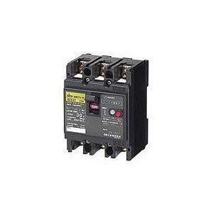 GE53C 3P 20A F30 在庫限り 日東工業 NITO 漏電ブレーカ 2023年製 管55062 : DaiouStore-Pro - 通販 - Yahoo!ショッピング