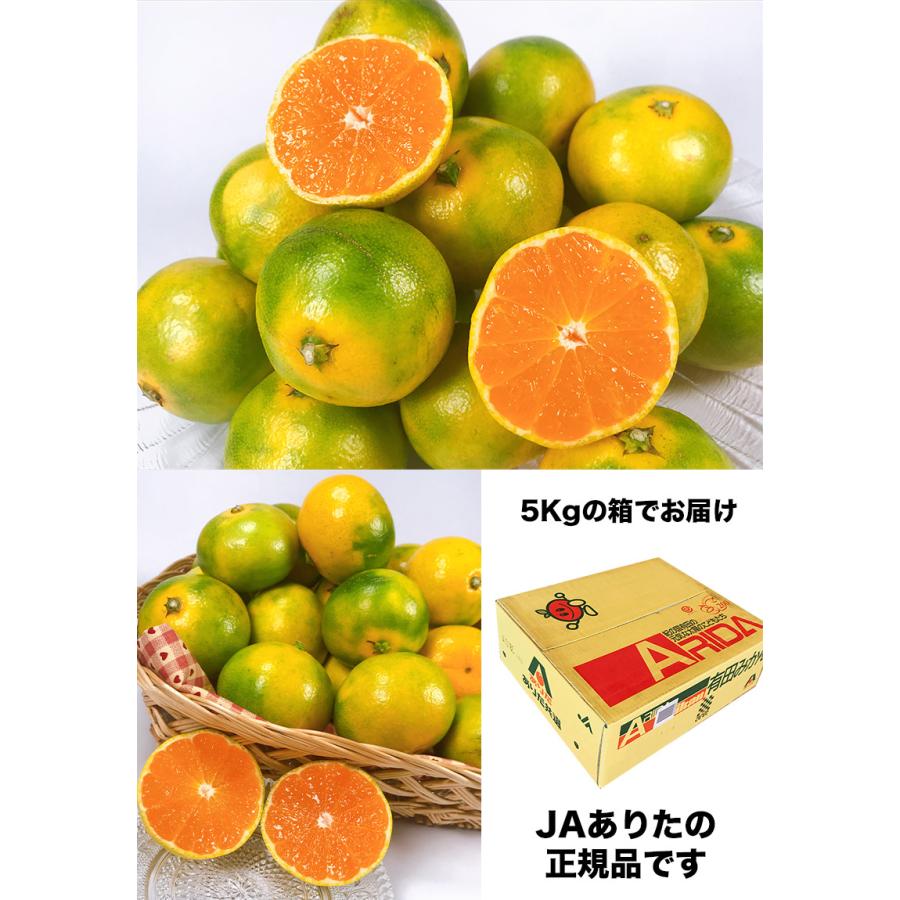みかん 小玉 送料無料 5Kg 有田みかん 和歌山県 有田 ゆら早生みかん 赤秀 2Sサイズ 5kg 早生みかん 贈答用 ギフト【10月中旬頃から】 :artyuraws-052s:大和屋 旬 ...