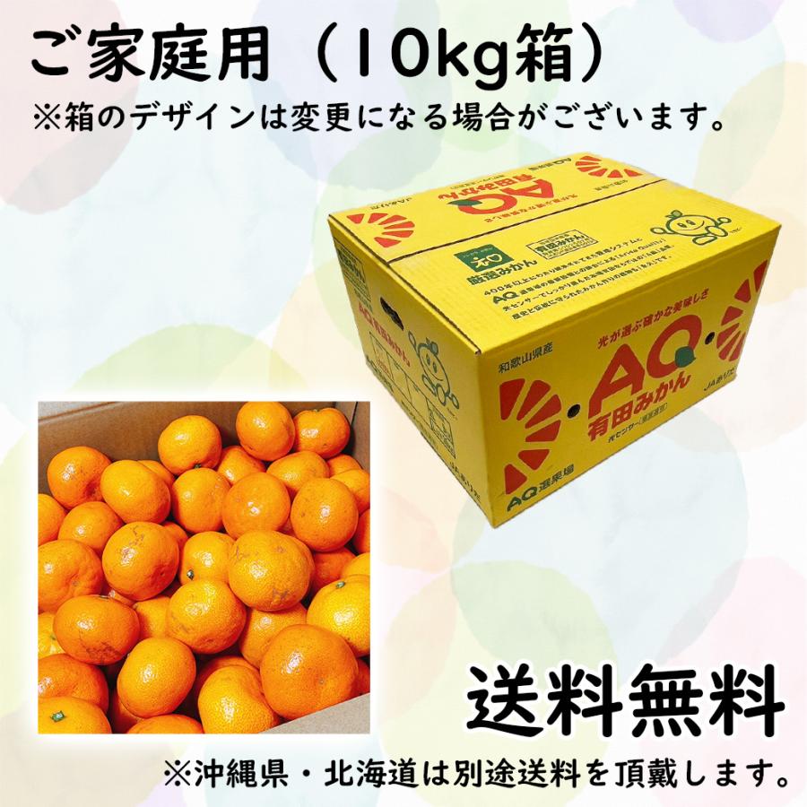 みかん 家庭用 10kg箱 和歌山県産 有田みかん 2Lサイズ 9kg 傷あり JAの正規品 AQみかん : citrus010-arika10k2l : 大和屋 旬果庵 - 通販 ...
