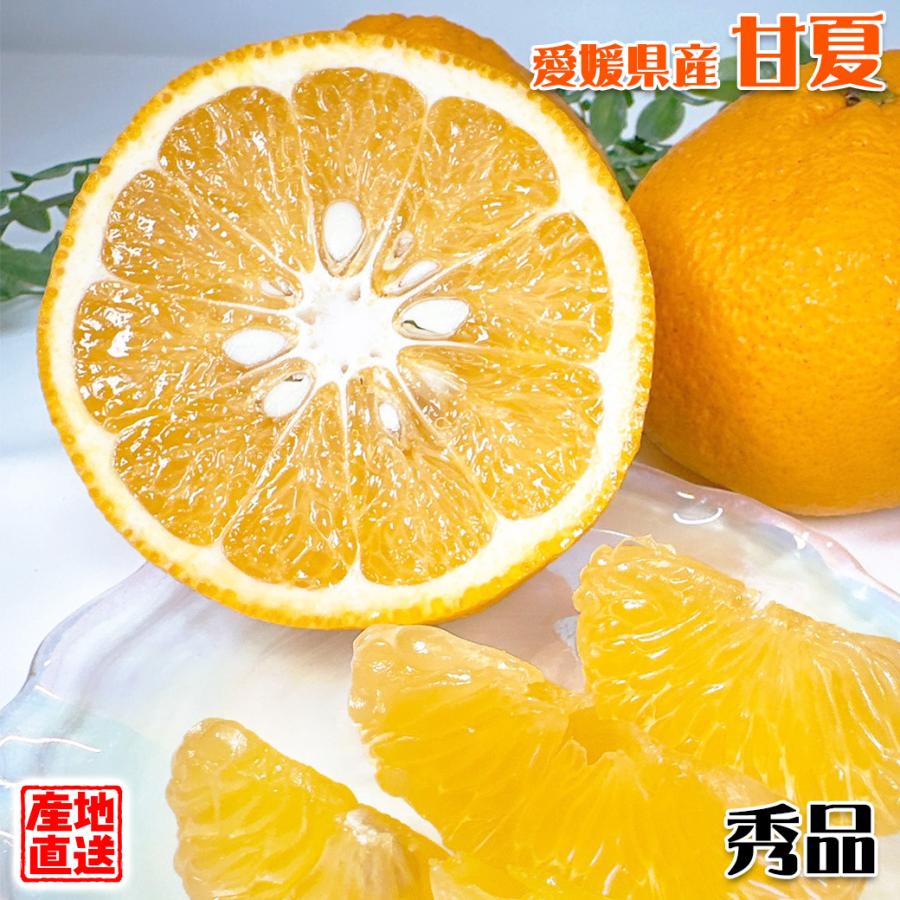 甘夏 あまなつ みかん 秀品 産地直送 送料無料 愛媛県産 L-3Lサイズ 4kg サイズ指定不可 贈答用 : 大和屋 旬果庵 - 通販 - Yahoo!ショッピング