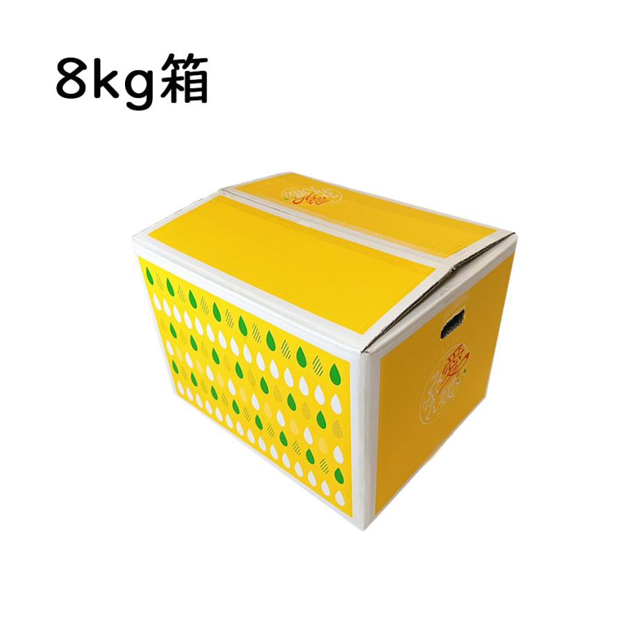 甘夏 あまなつ みかん 秀品 産地直送 送料無料 愛媛県産 L-3Lサイズ 8kg サイズ指定不可 贈答用 : 大和屋 旬果庵 - 通販 - Yahoo!ショッピング