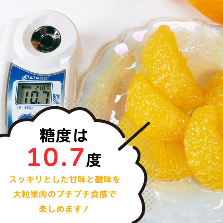 甘夏 あまなつ みかん 秀品 産地直送 送料無料 愛媛県産 L-3Lサイズ 8kg サイズ指定不可 贈答用 : 大和屋 旬果庵 - 通販 - Yahoo!ショッピング