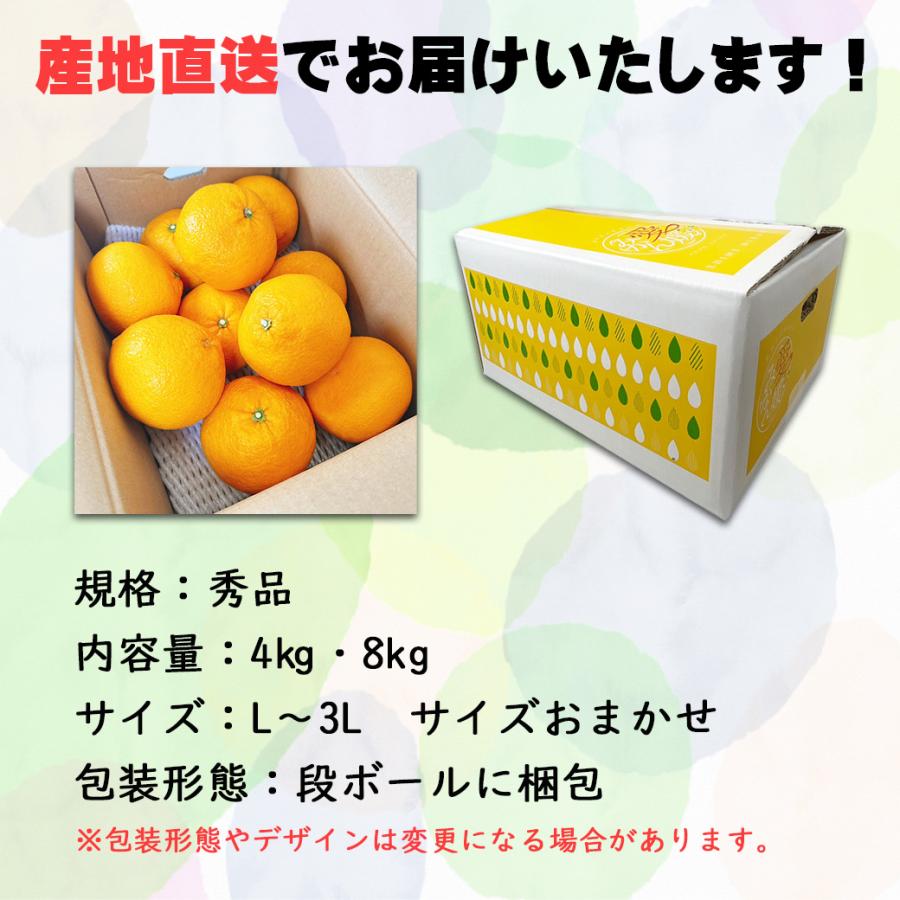 甘夏 あまなつ みかん 秀品 産地直送 送料無料 愛媛県産 L-3Lサイズ 8kg サイズ指定不可 贈答用 : 大和屋 旬果庵 - 通販 - Yahoo!ショッピング