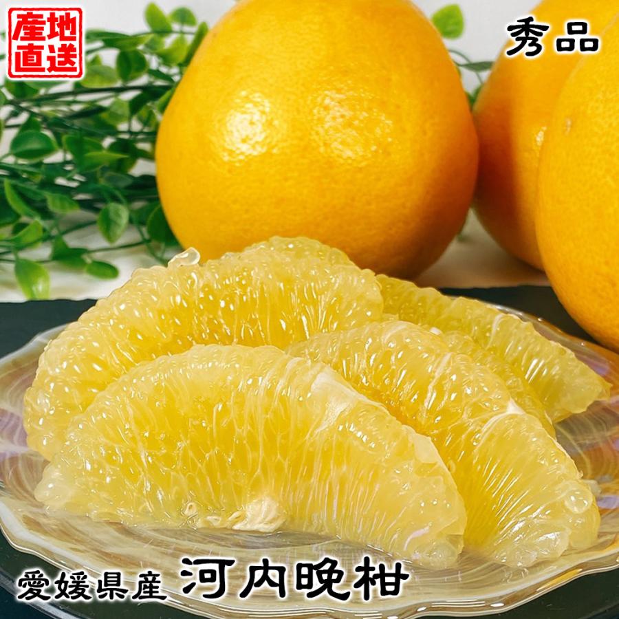 河内晩柑 宇和ゴールド 秀品 3kg箱 美粧柑 夏文旦 愛南ゴールド 産地直送 愛媛県産 L-3L サイズ別 送料無料 ギフト プレゼント 贈答用 : 大和屋 旬果庵 - 通販 - Yahoo ...