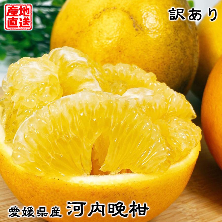 河内晩柑 宇和ゴールド 3kg箱 訳あり 美粧柑 夏文旦 愛南ゴールド 産地直送 愛媛県産 L-3Lサイズ 混合 サイズ別 ミックス 送料無料 : 大和屋 旬果庵 - 通販 - Yahoo ...