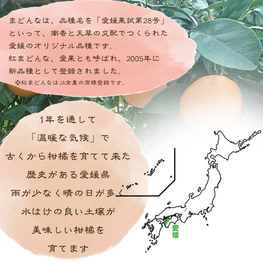 みかん まどんな 訳あり 産地直送 愛媛県産 ワケまどんな 3kg 2S-M サイズ混合 送料無料 : 大和屋 旬果庵 - 通販 - Yahoo!ショッピング