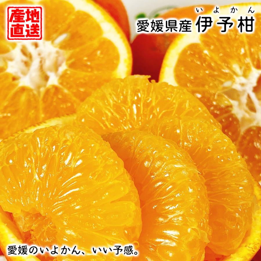 いよかん 伊予柑 送料無料 秀品 イヨカン みかん 産地直送 愛媛県産 L-3Lサイズ混合 4Kg ギフト 贈答用 : 大和屋 旬果庵 - 通販 - Yahoo!ショッピング