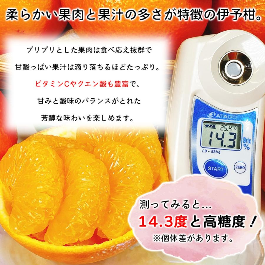 いよかん 伊予柑 送料無料 秀品 イヨカン みかん 産地直送 愛媛県産 L-3Lサイズ混合 8Kg ギフト 贈答用 : 大和屋 旬果庵 - 通販 - Yahoo!ショッピング