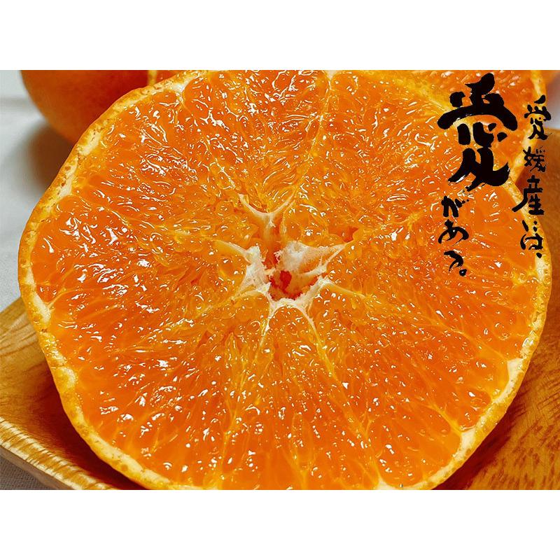 甘平 かんぺい みかん 秀品 3Kg 送料無料 希少柑橘 愛媛県産 甘平 秀 4Lサイズ 3kg :citrus080-383k504ls:大和屋 旬果庵 - 通販 - Yahoo!ショッピング