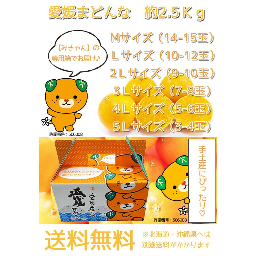紅まどんな あいか 送料無料 愛媛県 愛媛まどんな みきゃん箱 2Lサイズ 2.5kg JAの正規品 愛果28号 ご家庭用 バラ詰 お歳暮 ギフト 予約 : 大和屋 旬果庵 - 通販 ...