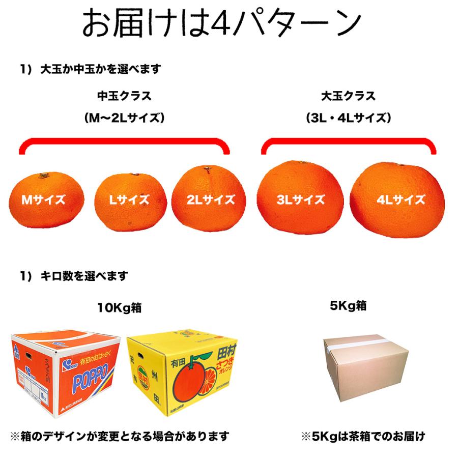 さつき はっさく 紅八朔 みかん ご家庭用 5kg箱 大玉 3L〜4L サイズ指定不可 訳あり 送料無料 和歌山県産 有田 5kg ギフト : 大和屋 旬果庵 - 通販 - Yahoo!ショッピング