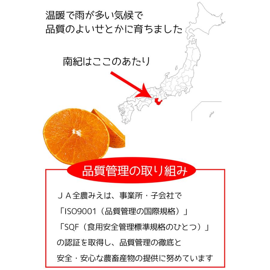 せとか 訳あり みかん 5kg箱 送料無料 柑橘の大トロ 南紀のせとか 3Lサイズ 4kg ご家庭用 お試し 送料無料【2月下旬頃から】 : 大和屋 旬果庵 - 通販 - Yahoo!ショッピング