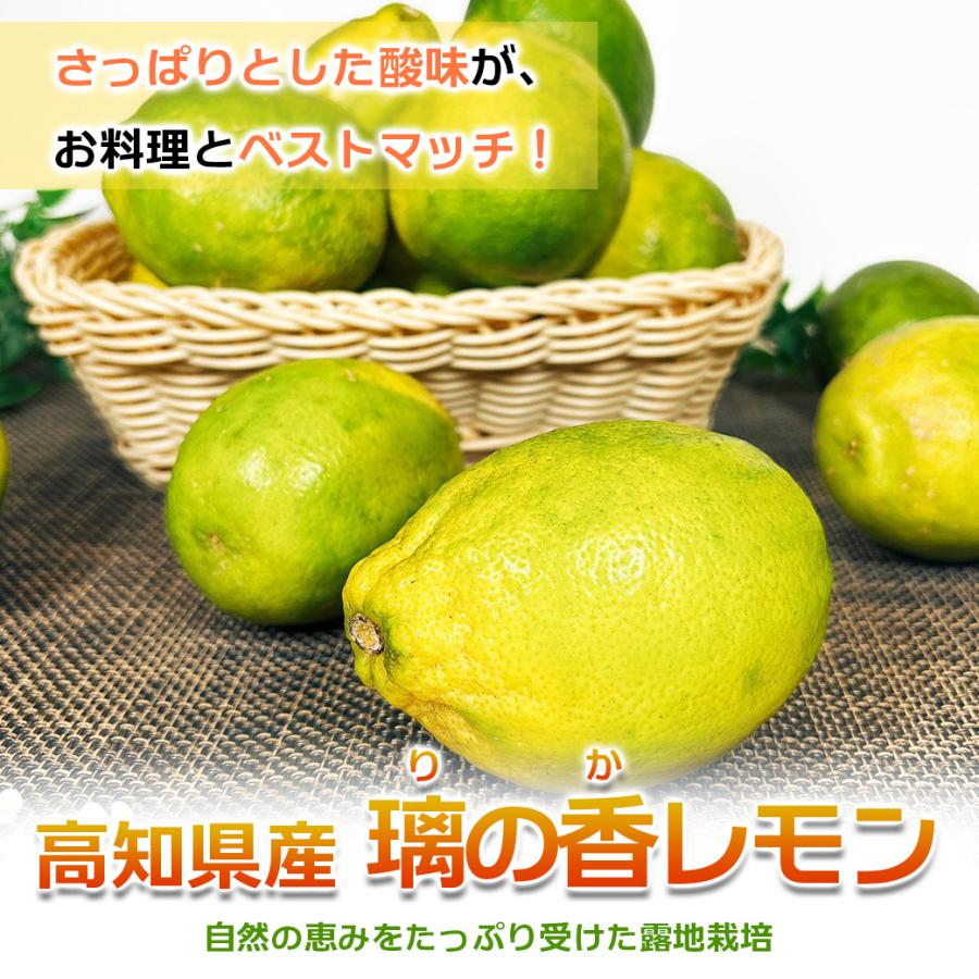 レモン 国産レモン 訳あり 高知県産 璃の香レモン 2.5kg M-3L サイズ混合 茶箱 ワックス不使用 りのか ノーワックス 国産 露地栽培 : 大和屋 旬果庵 - 通販 - Yahoo ...