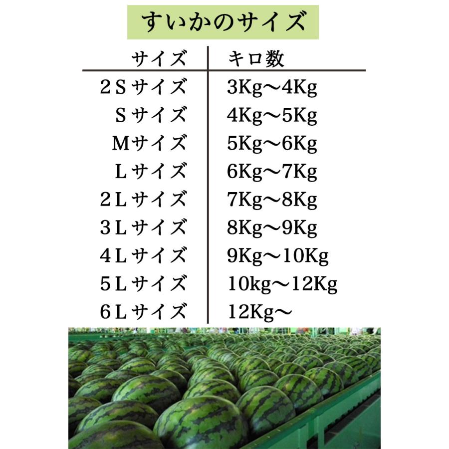 西瓜 訳あり すいか スイカ 送料無料 山形県産 尾花沢 西瓜 5Lサイズ 10kg以上 ご家庭用 : watmel06w-5l : 大和屋 旬果庵 - 通販 - Yahoo!ショッピング