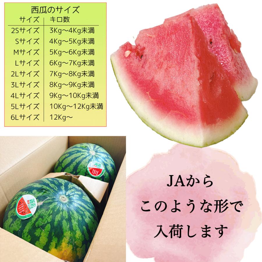 すいか スイカ 訳あり JAの正規品 新潟県産 西瓜 2Lサイズ 7kg以上 ご家庭用 送料無料 新潟県 大玉 : 大和屋 旬果庵 - 通販 - Yahoo!ショッピング