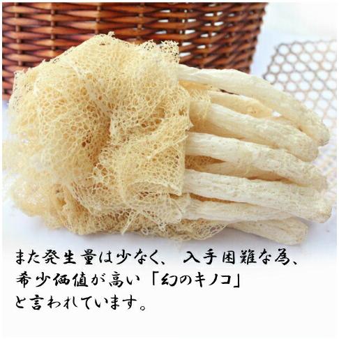乾燥竹笙 50g キヌガサタケ 衣笠茸 竹笙 キノコの女王 とも呼ばれています。 : 食材卸ダイヨー - 通販 - Yahoo!ショッピング