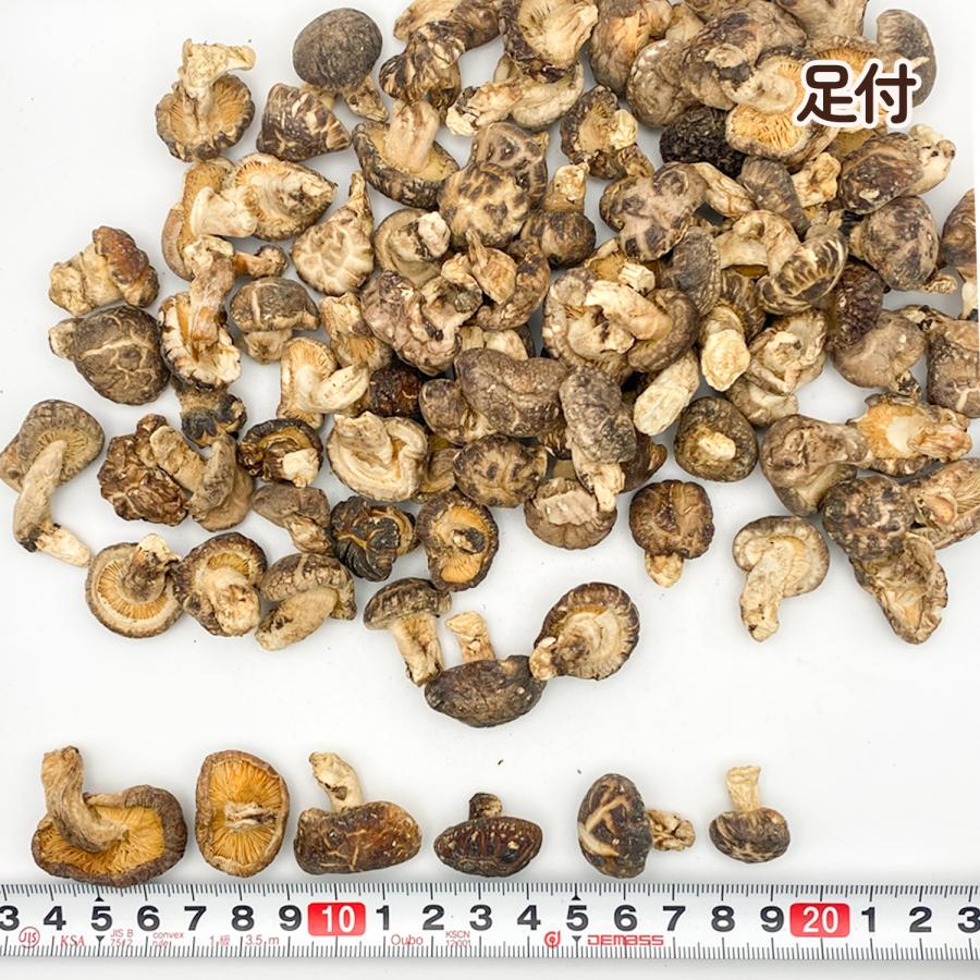 中国産 足付 原木椎茸 1kg 【1.5-2cmサイズ選別】しいたけ シイタケ だし 茶碗蒸し 煮込み料理におすすめ 大容量 : 食材卸ダイヨー - 通販 - Yahoo!ショッピング