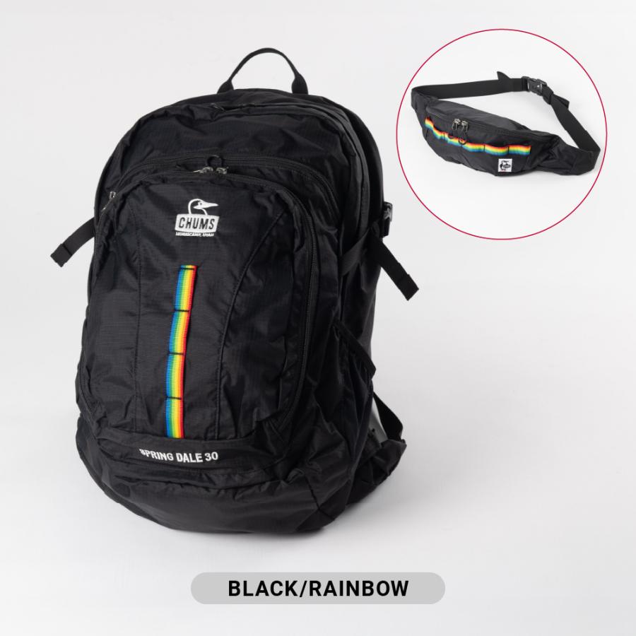 CHUMSチャムス SPRING DALE 30 リュック レインボーメッシュポケットCH60-3549 : ダン&蔵之助ヤフー店 - 通販 - Yahoo!ショッピング