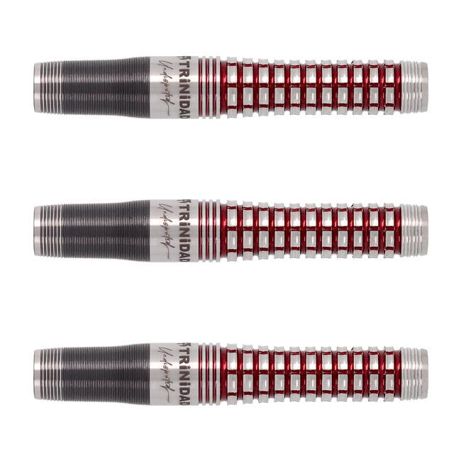 TRiNiDAD(トリニダード) Undisputed ROMERO Type2(ロメロ タイプ2) 2BA 21g 岩田夏海選手モデル (ダーツ バレル ダーツセット ...