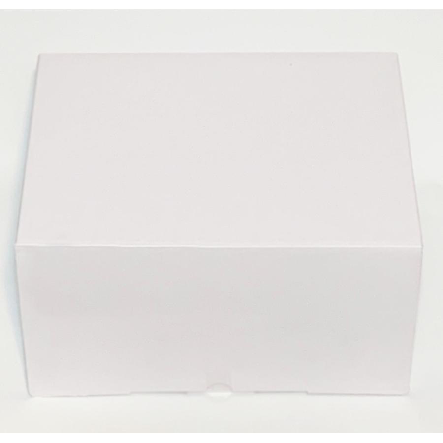 ミズケイ マルチ誘導棒 誘灯生 23cm 2013001 : DCK - 通販 - Yahoo!ショッピング