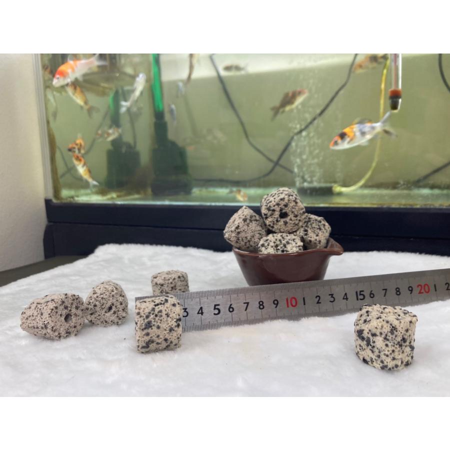 高品質納豆菌パワーリング3L :roka0017:DCMアクアリウムショップ - 通販 - Yahoo!ショッピング