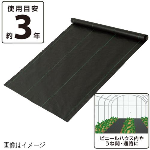 DCM 雑草ガード/2mx50m : DCMオンライン - 通販 - Yahoo!ショッピング