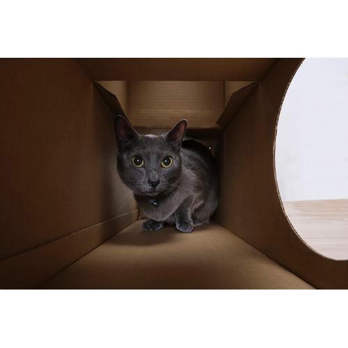 アイリスオーヤマ ねこねこトンネル フルセット/P-NTF BOX 1個、L字 2個、T字 1個 : DCMオンライン - 通販 ...