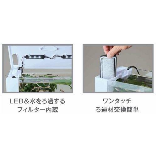 GEX ラクテリア ホワイト :4972547037435:DCMオンライン - 通販 - Yahoo!ショッピング