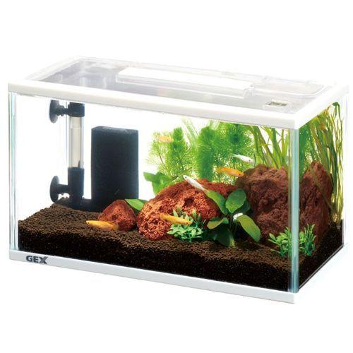 GEX メダカ元気 メダカのための水槽セット 300 : DCMオンライン - 通販 - Yahoo!ショッピング
