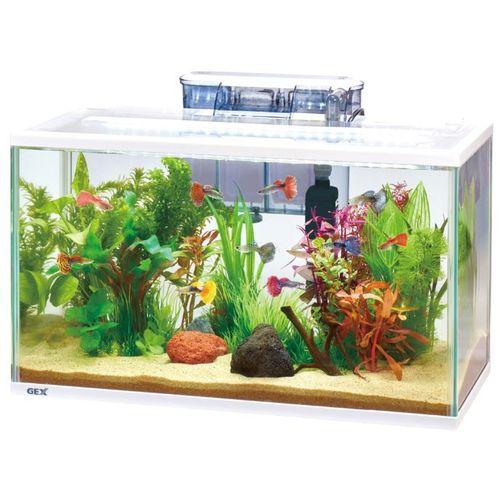 GEX スリムアクアセット500 : DCMオンライン - 通販 - Yahoo!ショッピング