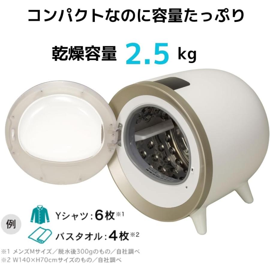 CCP シー・シー・ピー 工事不要の小型衣類乾燥機 2.5kg 靴乾燥用 CCP シー・シー・ピー 工事不要の小型衣類乾燥機 2.5kg 靴乾燥用