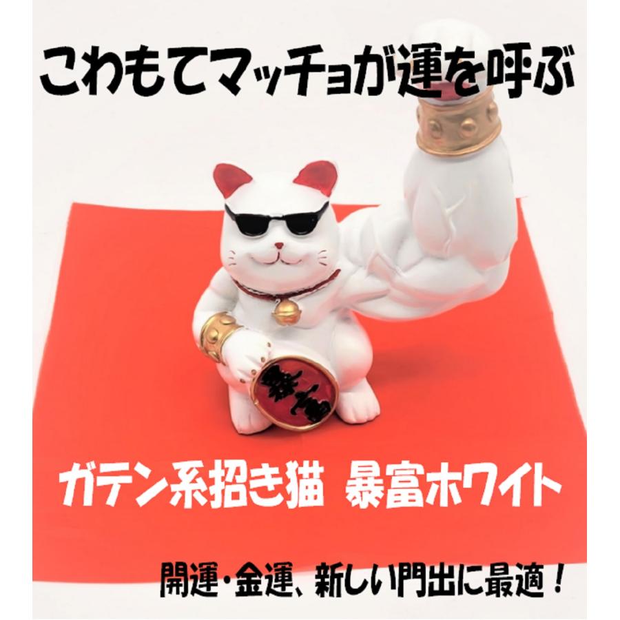 ガテン系招き猫 暴富ホワイト 高さ16.5cm 重量375g 紅絹布下敷き付き 白 : b0btpbrpds : であいざかどっとびず - 通販 - Yahoo!ショッピング