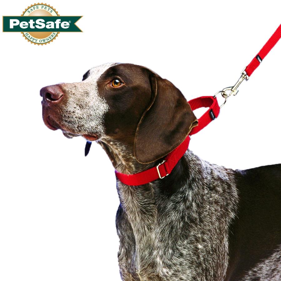 PetSafe 【訳あり】 大型犬 首輪 ハーフチョークカラー ペットセーフ プレミアカラー 2.5cm幅 M ナイロン 輸入 海外ブランド 在庫処分 セール メール便OK ...