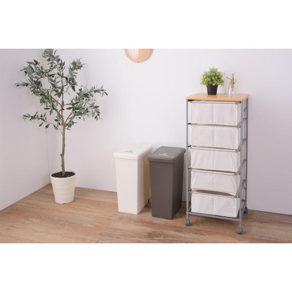 ゴミ箱 30L 日本製 30リットル スリム ダストボックス スライドペール キャスター付 フタ付 分別 キッチン 屋外 屋内 LFS-762 :azumaya-LFS-762:Dear ...